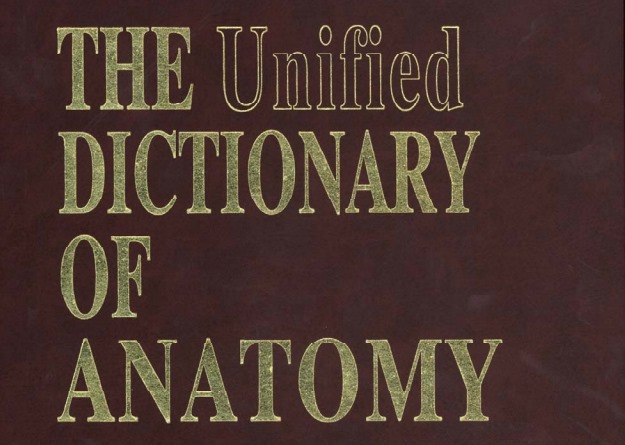 Unified Dictionary of Anatomy :: Cultural Bridges